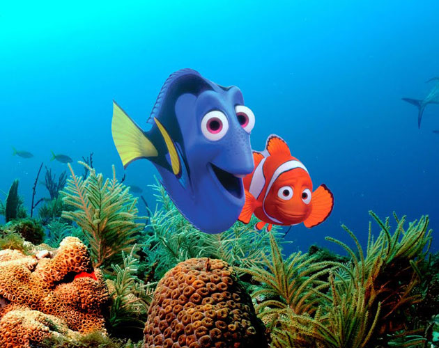 Finding Nemo Images | Geo Kahani | Dramas, TV Shows, TV Serials | Watch ...